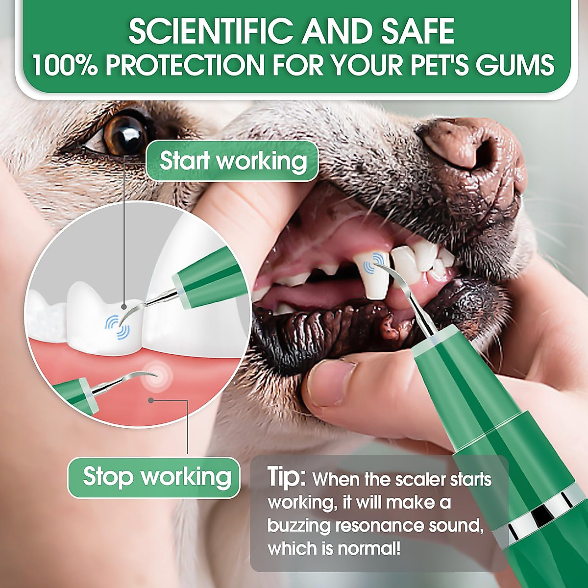 ofikpaloe Dog Teeth Cleaning Kit with Pet Oral Spray, Dog Dental Care-Plaque Remover for Teeth, Cleans and Relieves Tooth Sensitivity, Universal for Dogs & Cats, Dark Green