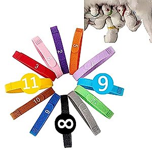 WXYINSPAS Newborn Puppy ID Collars with Numbers - Dog Kitten Collar - 3 Adjustable Sizes of Personalized Collars for Small Medium Large Whelping Dogs - Assorted Colors, Whelping Supplies (6pcs-M)