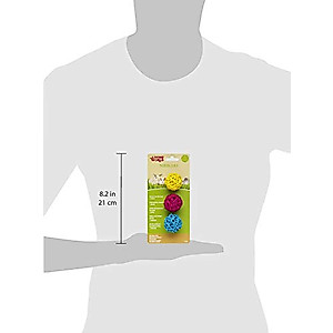 Living World Nibblers, Willow Chews, Balls