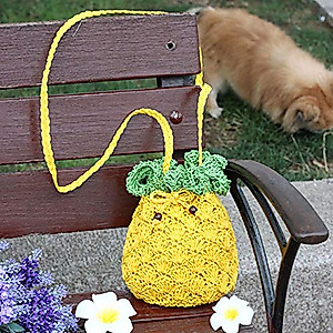 Goclothod Mini Handbag Cute Fruit Straw Cross-body Bag Weave Summer Beach Travel Satchel Shoulder Bag Phone Pouch Coin Purse (Pineapple)