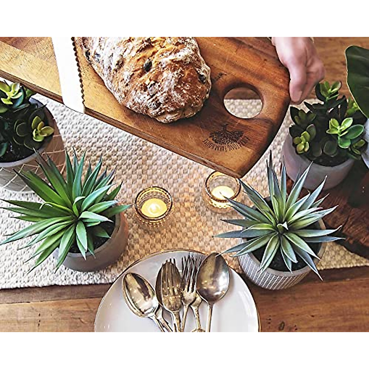 Kurrajong Farmhouse Artificial Plant | 8" Fake Plant | Artificial Succulent in Pot | Fake Succulent | Faux Plant Indoor | Succulent Plant Artificial | Faux Succulent in Pot