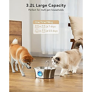 Cat Water Fountain with Water Level Window, HICC PULE 108oz/3.2L Stainless Steel Automatic Pet Water Fountain, Dishwasher Safe Dog Water Dispenser with Ultra-Quiet Pump, Multi-Filtration System