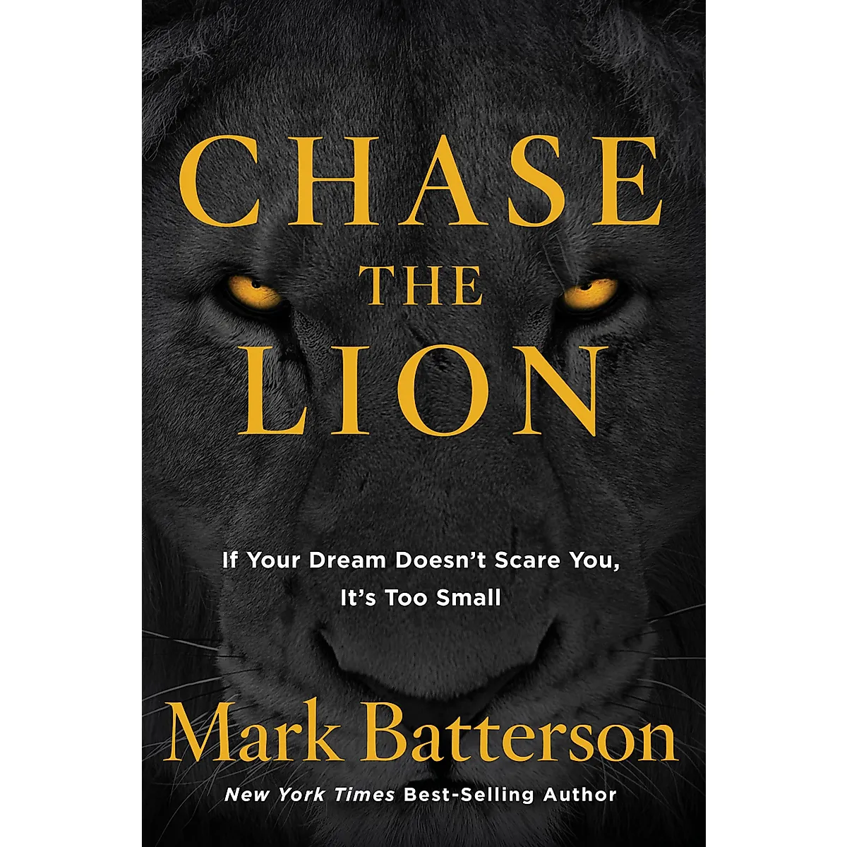 Chase the Lion: If Your Dream Doesn't Scare You, It's Too Small
