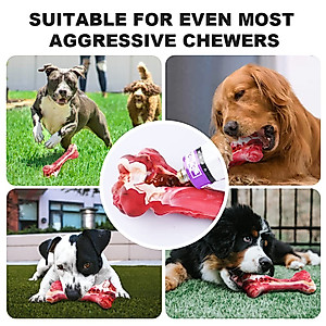 Chew Toys for Dogs. Durable and Safe for Dogs of All Ages and Sizes. Ensures Interactive Fun and Dental Care to Keep Your pet Healthy and Entertained.