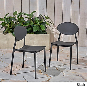 Christopher Knight Home Brynn Outdoor Plastic Chairs (Set of 2), Black