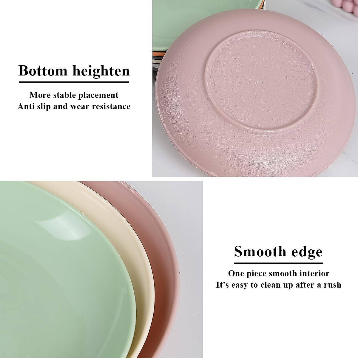 Evanda Plastic Plates Set of 8 Pieces, Dinner Plates 9.5 inch Unbreakable Reusable Dishes for All Purpose and All Age, Microwave Safe BPA Free Dishwasher Safe (Mutil Color)