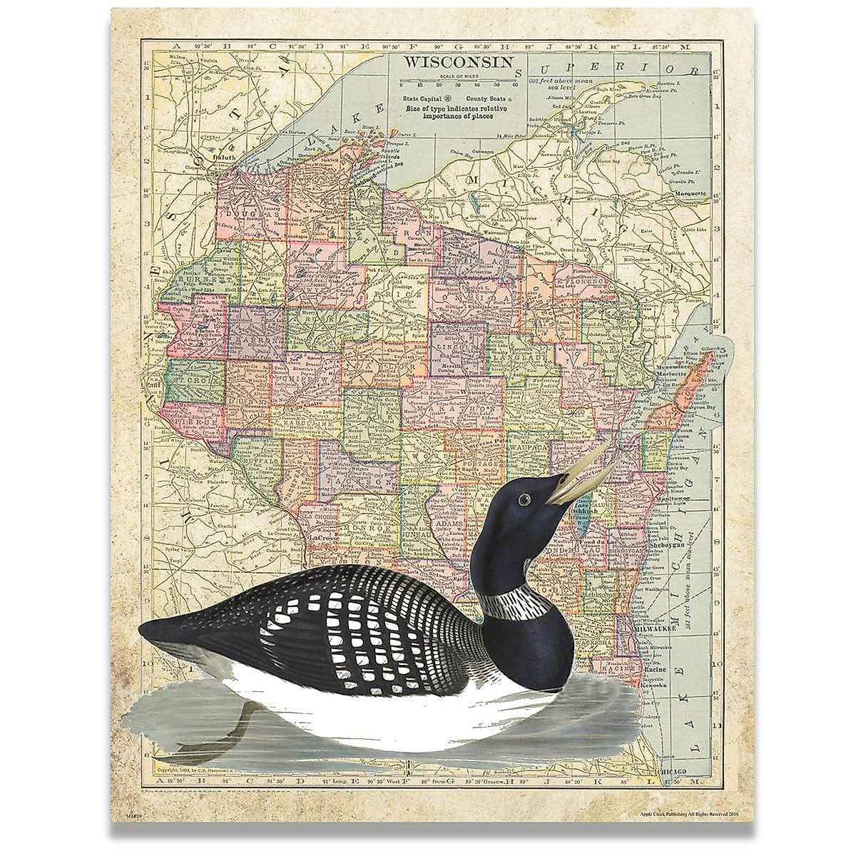 Apple Creek Wisconsin State Map Common Loon Call Decoy Poster Art Print 11x14 Cabin Wall Decor Pictures