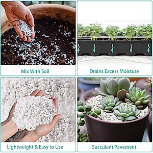 Legigo 2 Quarts Organic Horticultural Perlite for Plants Indoor- Natural Horticultural Soil Additive Conditioner Mix for Improves Drainage, Ventilation and Root Growth