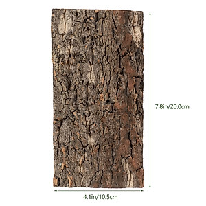 POPETPOP Desktop Reptile Tank Decor Desktop Decor 3Pcs Indoor Terrarium Background Vivid Aquarium Decor Delicate Reptile Bark Reptile Natural Cork Bark Backdrop Cork Aquarium Bark