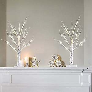 YEAHOME 2 Pack 2FT/24” Birch Tree Light with 18LT Warm White LEDs Battery Powered Timer for Christmas Decorations Indoor, Artificial Tabletop Money Tree for Wedding Party Desk Table Mantel Home Decor