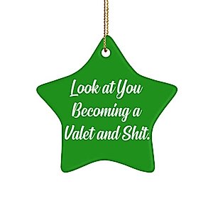 Reusable Valet , Look at You Becoming a Valet and Shit., Holiday Star Ornament for Valet
