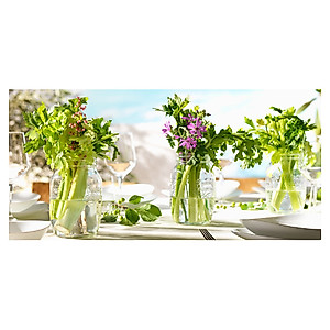 Bormioli Rocco Quattro Stagioni 33.75 oz. Canning Jar Set of 3, Gift Boxed