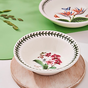 Portmeirion Exotic Botanic Garden 6.5 Inch Oatmeal Bowl with Dragonfly Motif | Dishwasher, Microwave, and Oven Safe | For Cereal, Soups, or Salads | Made in England