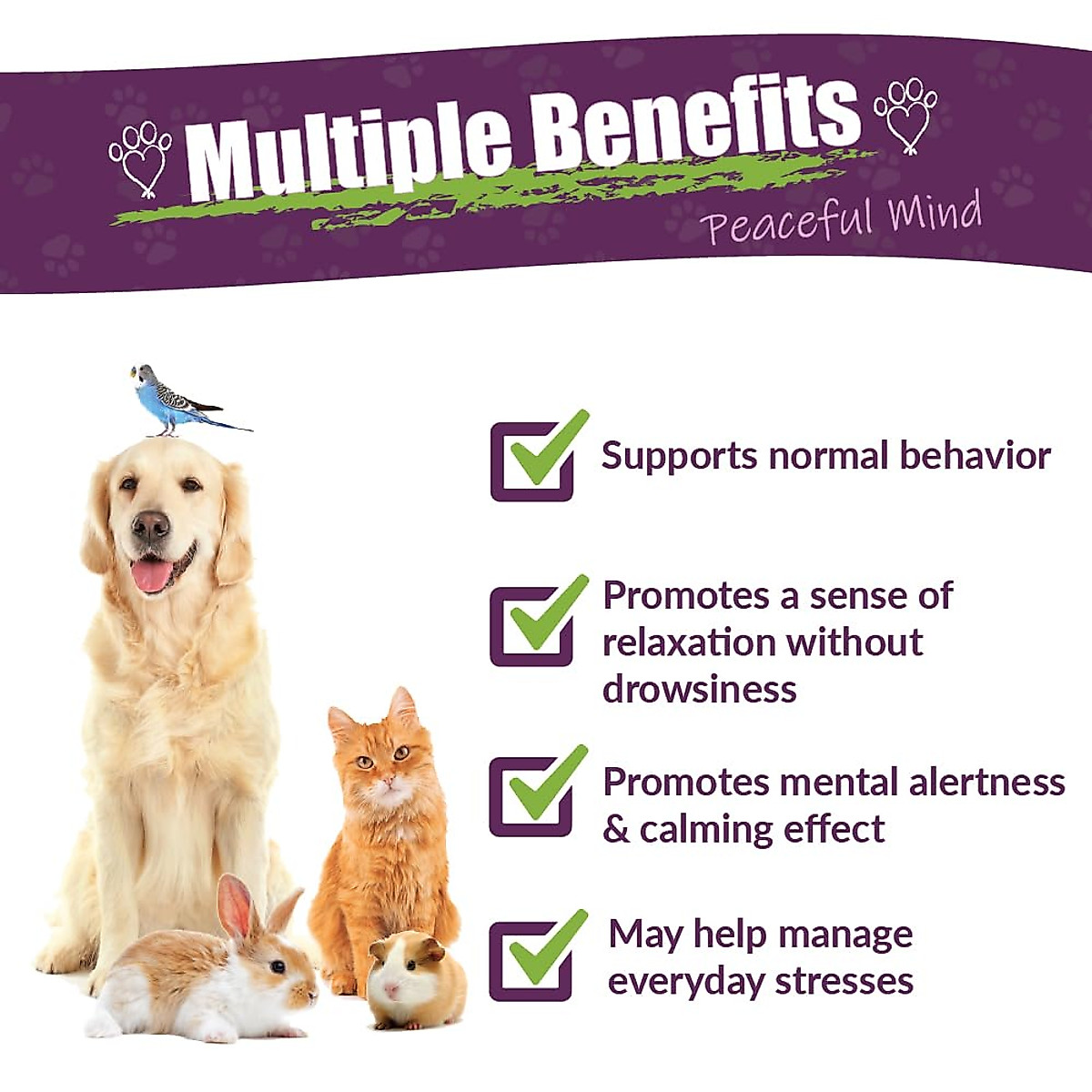 AMBER NATURALZ Pyntril Peaceful Mind Herbal Supplement for Dogs, Cats, Birds, Guinea Pigs, and Rabbits | Herbal Pet Supplement for Relaxation | 1 Fluid Ounce Glass Bottle | Manufactured in The USA