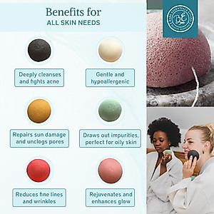 Bare Essentials Living - Konjac Sponges Set (12 Pack) with Activated Bamboo Charcoal Facial Sponge, Natural Sponge, Great for Facial Sponges, Bath Sponge, Beauty Sponge, and Exfoliating Body Sponge
