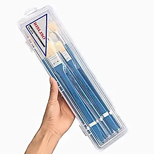 RISLISO, Paint Brush Holder for Long Paintbrushes, Fine Art Portable Paint Brush Organizer Case,Clear 2Pcs, TB 018