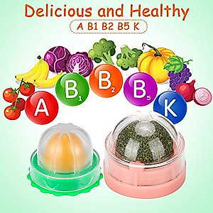Skylety 12 Pieces Catnip Balls for Cats Wall and Cat Snacks Candy Silvervine Catnip Wall Balls Cat Snack Licking Sugar Ball Cat Treats Catnip Candy Treats Lickable Candy Cat Edible Chew Toy