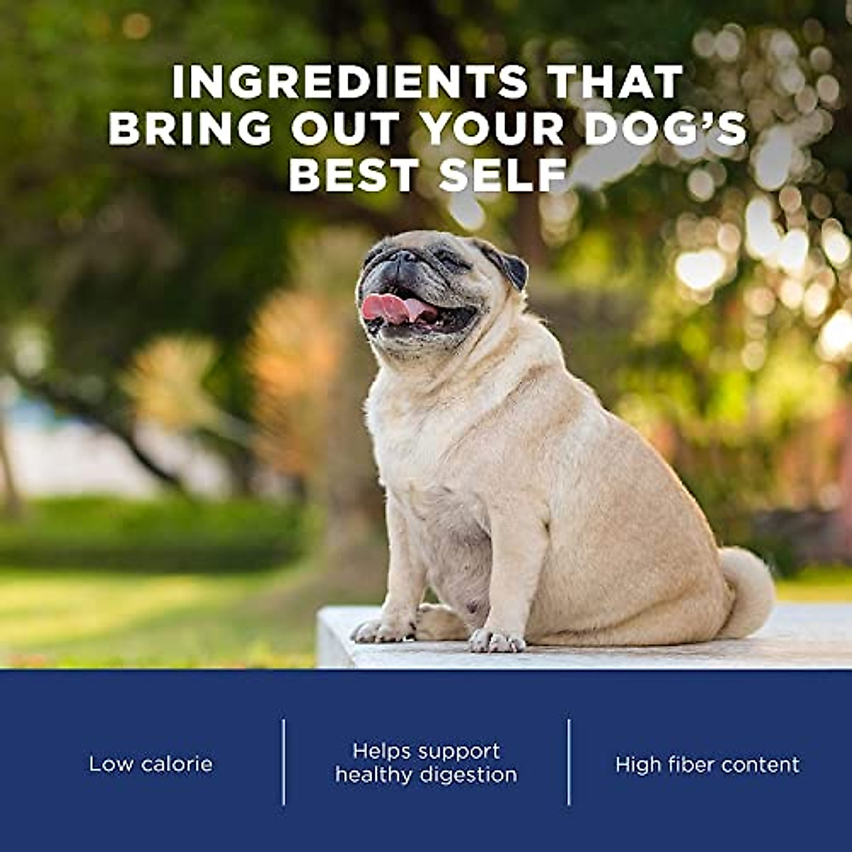 Natural Balance Fat Dogs Low Calorie Chicken Meal Salmon Meal, Garbanzo Beans, Peas & Oatmeal Adult Low-Calorie Dry Dog Food for Overweight Dogs