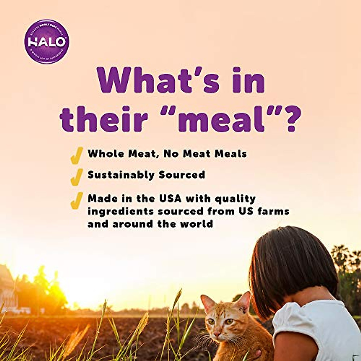 Halo Adult Wet Cat Food, Grain Free, Variety Pack 5.5oz Can (Pack of 12)