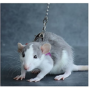 Adjustable Fancy Rat Hamster Harness Rat Guinea Pig Training Walking with Bell Leather Leash Reptile Harness Suitable for Small, Medium，Large Rats or Reptiles (Purple)