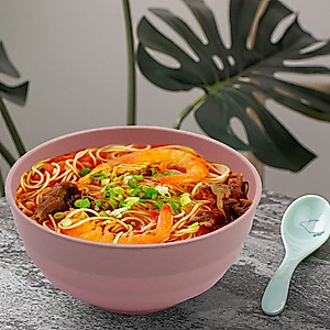 60 OZ Unbreakable Bowl Sets, 4 Pack Durable Large Bowls, Lightweight Dinnerware for Dinner Dessert, Fruit, Salad,Noodle, Cereal, Kitchen Soup Bowls (20CM 4 Beige)