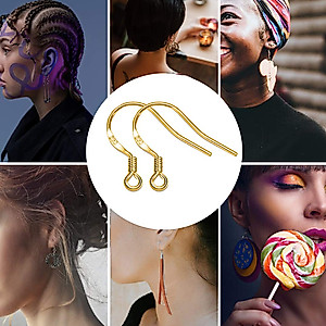 Gold Fishhook Earring Hooks - 120 PCS/60 Pairs 18K Gold Hypoallergenic Ear Wires Fish Hooks for Jewelry Making, Jewelry Findings Parts with 120 PCS Rubber Earring Backs Stopper for DIY Earrings