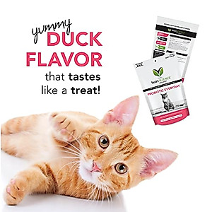 VetriScience Probiotic Everyday for Cats, Digestive Support Supplement, Duck Flavor, 60 Bite Sized Chews - Probiotics and Prebiotics, GI and Immune Support