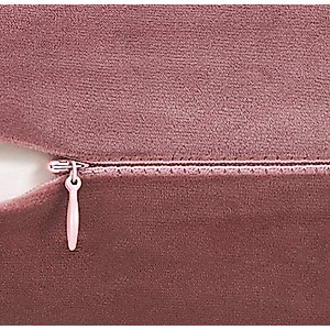 Jeneoo Comfy Soft Velvet Throw Pillow Covers for Sofa Couch, Decorative Solid Square Cushion Cases for Bedroom Car (Dusty Rose, 16 x 16 Inches, 2 Pieces)