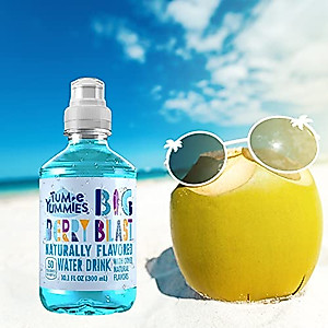 Tum-e Yummies Naturally Flavored Water Drink for Kids Bundled by Louisiana Pantry (Big Berry Blast, 12 Pack)