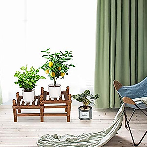 Tovacu Wood Flower Stand Small Plant Stand Indoor Outdoor Plant Shelf Low Window Shelf for Plants Windowsill Plant Rack for Patio Balcony Hallway Garden (33.5”Long,Multiple Combination Way)