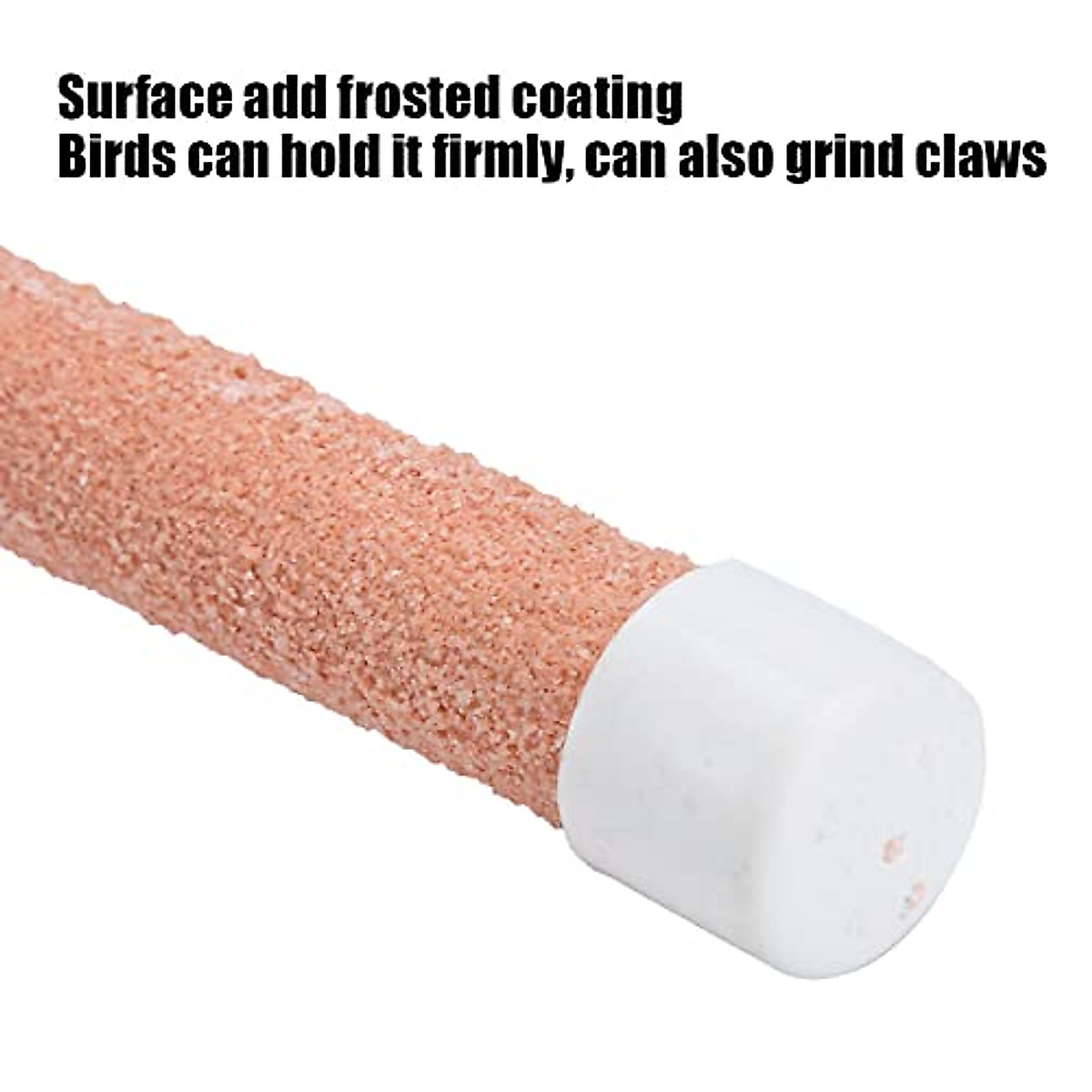 Haokaini Parrots Shower Standing Portable Suction Cup Bird Window and Shower Perch Toy for Bird Parrot Macaw Cockatoo African Greys Budgies Parakeet