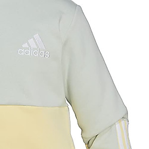 adidas Men's Essentials Colorblock Full Zip Hoodie, Linen Green/Almost Yellow, Large