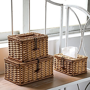 QUHUOYAO Tissue Box Cover Woven Tissue Holder Rectangular Tissue Holder Seagrass Tissue Box Holder Decorative Tissue Box Holder on Table and Barthroom (Brown)