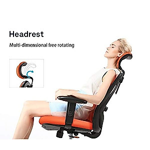 HOUKAI Executive Office Chair - High Back Office Chair with Footrest and Thick Padding - Reclining Computer Chair with Ergonomic Segmented Back, Black