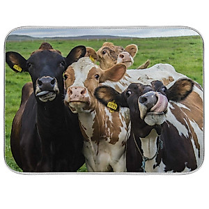 Kitchen Dish Drying Mat Farm Animal Cow Cattle Absorbent Washable Dish Drying Pad Drainer Rack Mat Heat Resistant Counter Protector for Glass Plate Cup Pan 18x24in