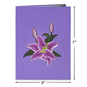 Paper Love 3D Purple Lilies Pop Up Card, Gift for Birthday, Wedding, Anniversary, Thank You, Get Well, All Occasion or Just Because - 5" x 7" Cover - Includes Envelope and Note Tag
