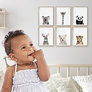 Designs by Maria Inc. Animal Posters | Baby Nursery Decor | Baby Room Pictures Art | Cute Animal Pictures | Set of 6 UNFRAMED Wall Prints | Boy & Girl Baby Room Wall Decor Animal Print (8"x10")