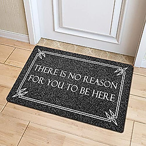 Funny Welcome Mats for Entrance Indoor Personalized Kitchen Rugs and Mats Anti-Slip Novelty Gift Mat(23.7 X 15.9 in) (There is No Reason for You to Be Here)