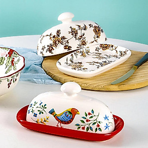 Sizikato Classic Porcelain Butter Dish with Lid, Beautiful Flower and Bird Pattern