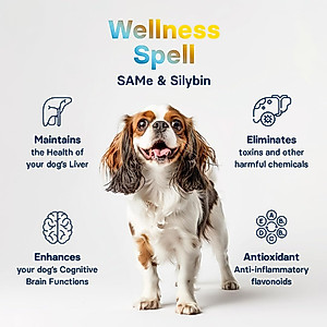 SilymarinAdvanced Liver Health Supplement for Small Dogs, S-Adenosylmethionine (Same) and Silybin, Liver Tablets, Cognitive Support, 30 Tablets