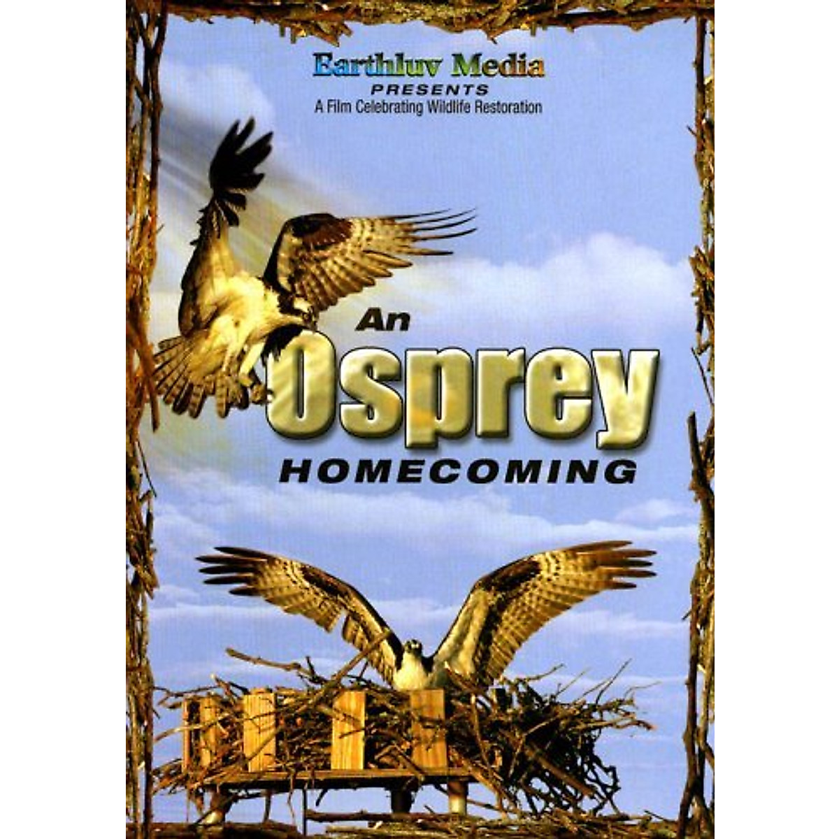 Osprey Homecoming [DVD] [2006] [Region 1] [US Import] [NTSC]