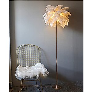 GIOAMH Natural Ostrich Feather Floor Lamp, Simple Modern Bedroom and Living Room Standing Lamp, Golden Lamp Body, G4-LED Bulb (White)