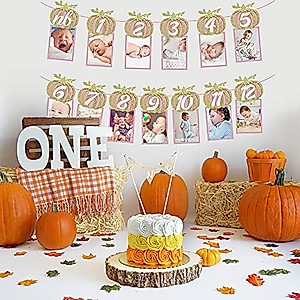 Pumpkin 1st Birthday Photo Banner, Glitter Pumpkin Bnaner Newborn to 12 Month Photo Display for Pumpkin Baby Shower Fall First Birthday Party Decor