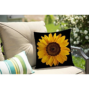 Sunflower Decorations Pillow Cover Blossom Black and Yellow Farmhouse Decor Throw Pillow Cases Cushion Cover 18 x 18 Inch Home Decoration
