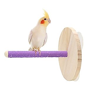 Bird Shower Perch Stand Parrot Bath Suction Cup Window Wall Platform Frame Toys for Small Medium Parrots Parakeet Macaw Cockatoo African Grey Budgies with Scrubbing Wooden Stick (Random Color)
