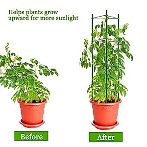 3 Packs Tomato Cages,Plant Cages Up to 48inch Garden Tomato Stakes,Multi-Functional Garden Trellis Assembled Garden Stakes Climbing Plant Support for Climbing Plants,Vegetables, Flowers,Fruits,Vine