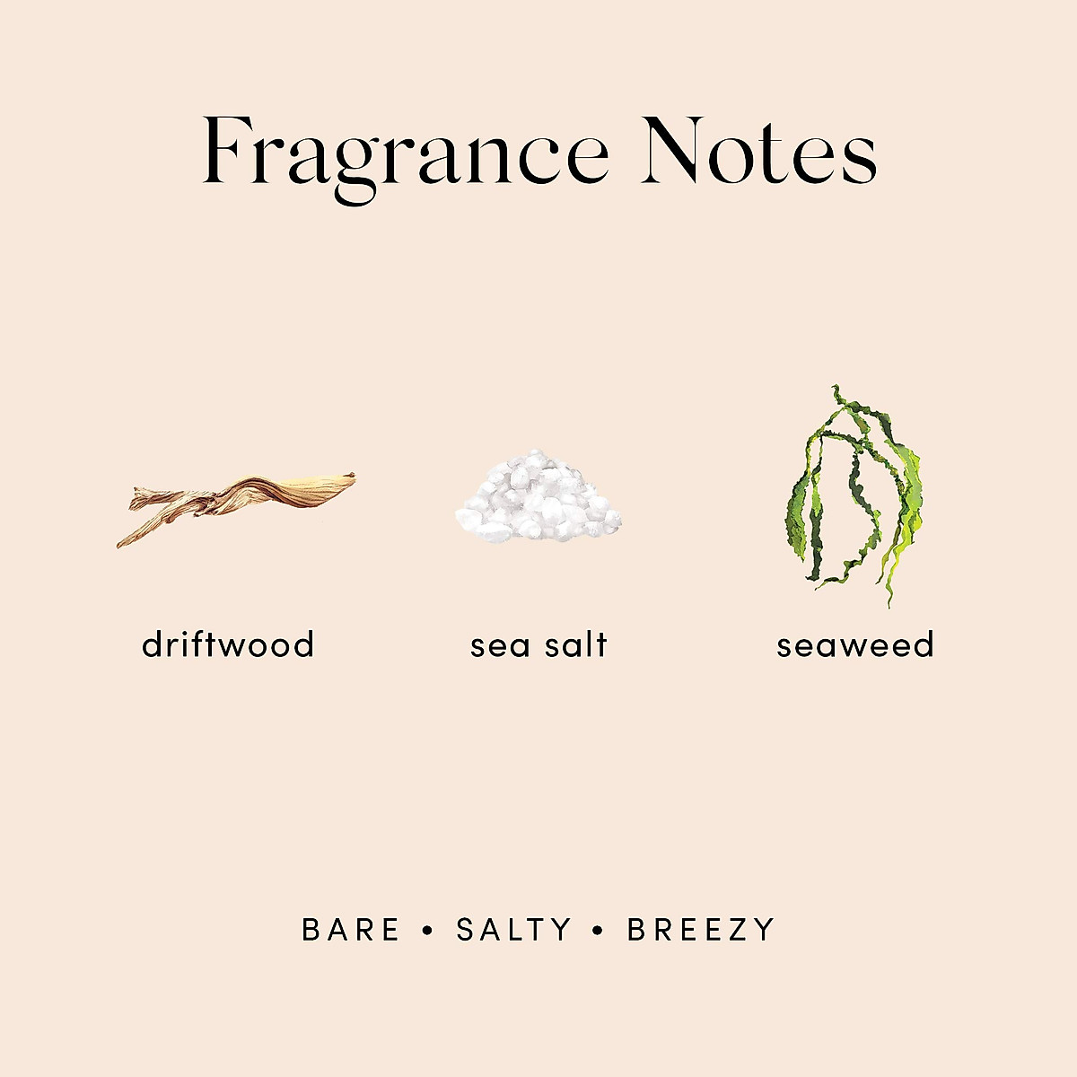 Salt Air Perfume By Skylar - Travel-Sized Rollerball - Paraben-Free, Phthalate-Free, Vegan, and Cruelty-Free Fragrance - Salty and Breezy - With Notes of Sea Salt and Driftwood (10mL / 0.33 fl oz)