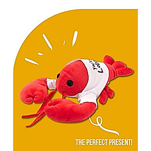 You’re My Lobster Plush Decoration – Cool TV Props Friends Lobster Plush Decoration – Ross Geller Rachel Green Lobster Decoration in Cute White T-Shirt – 8” (20cm) Head to Tail, 6” (15cm) Claw to Claw