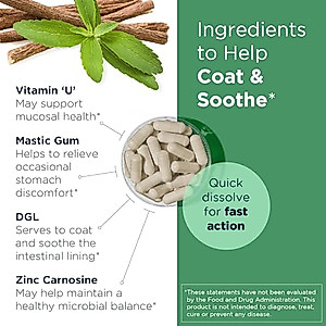 Designs for Health GastroMend HP - Mastic Gum, Zinc, L-Carnosine, Deglycyrrhizinated Licorice Gut Health Supplements - May Support Gastric Health, Occasional Bloating or Upset Stomach (60 Capsules)