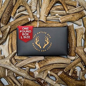 The Antler Box Premium Deer Antler Dog Chews (1 lb Bulk Pack) (Large (3 to 4 Antlers/lb))